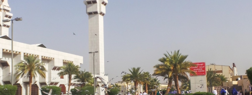 11. MESCIDI AYŞE-MIKAT – Nurtur